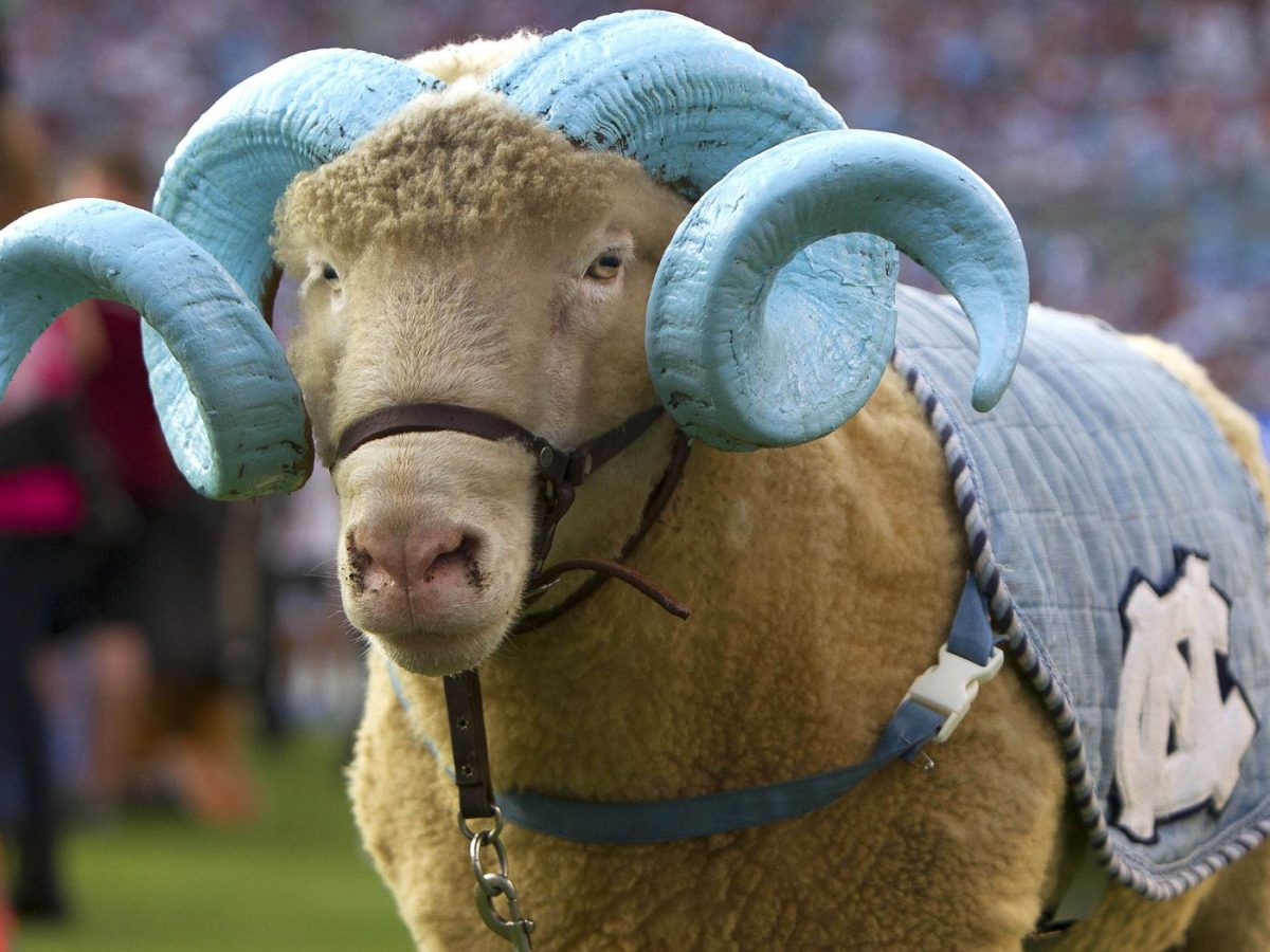 What Is a Tar Heel? The Meaning, History & UNC’s Nickname