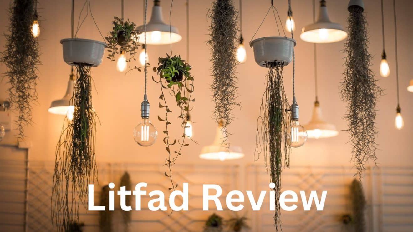 Is LitFad Legit? Know the Truth in Our LitFad Review