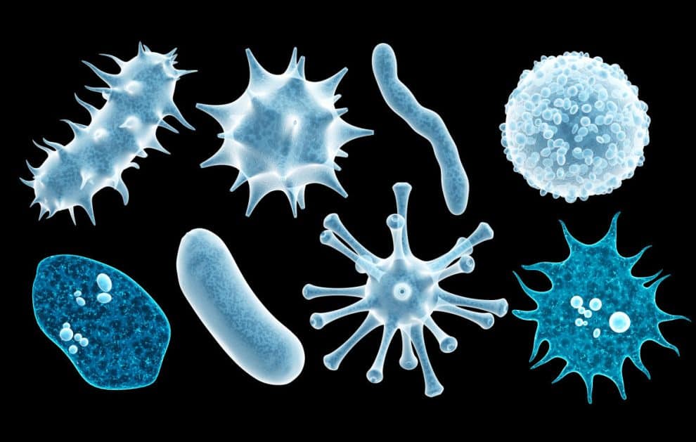 Scientists Unveils Weird Virus-Like Entities in Human Gut and Mouth ...