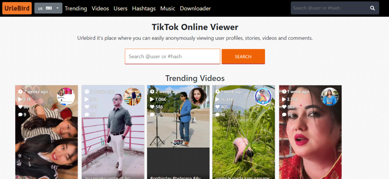 Urlebird Review: Safety, Features, and Alternatives