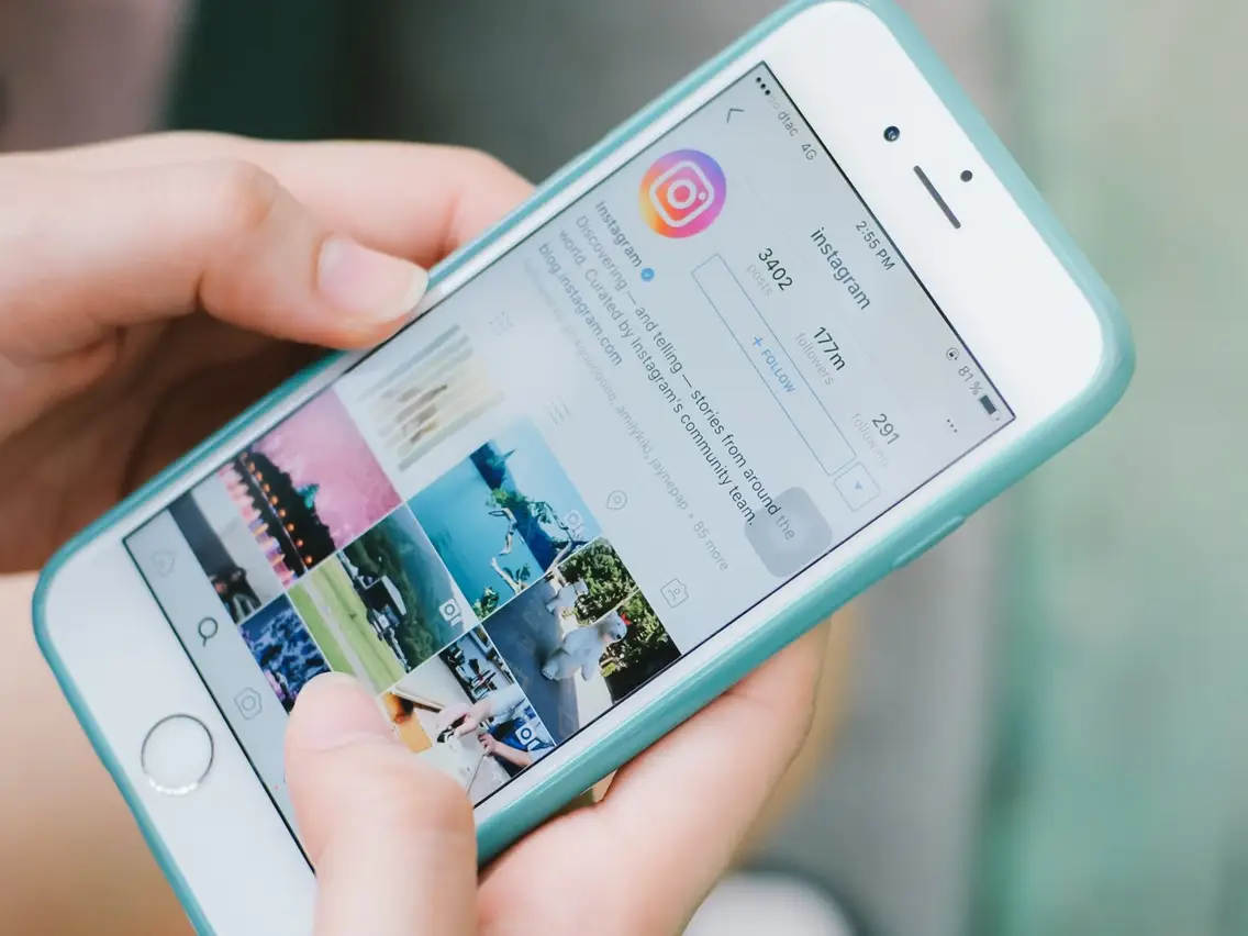 What is Picnob? Review, Uses, Features, and Safety