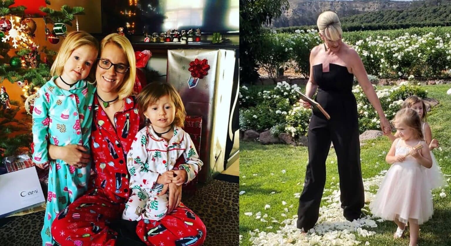 Erin Brockovich's Net Worth: Legal Cases, Books, and More