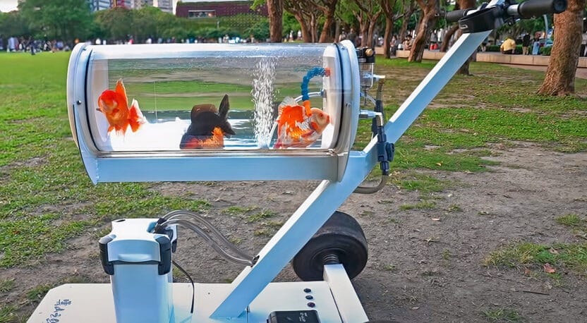 Top 10 Useless Inventions That Made History for Being Dumb - The Next Hint