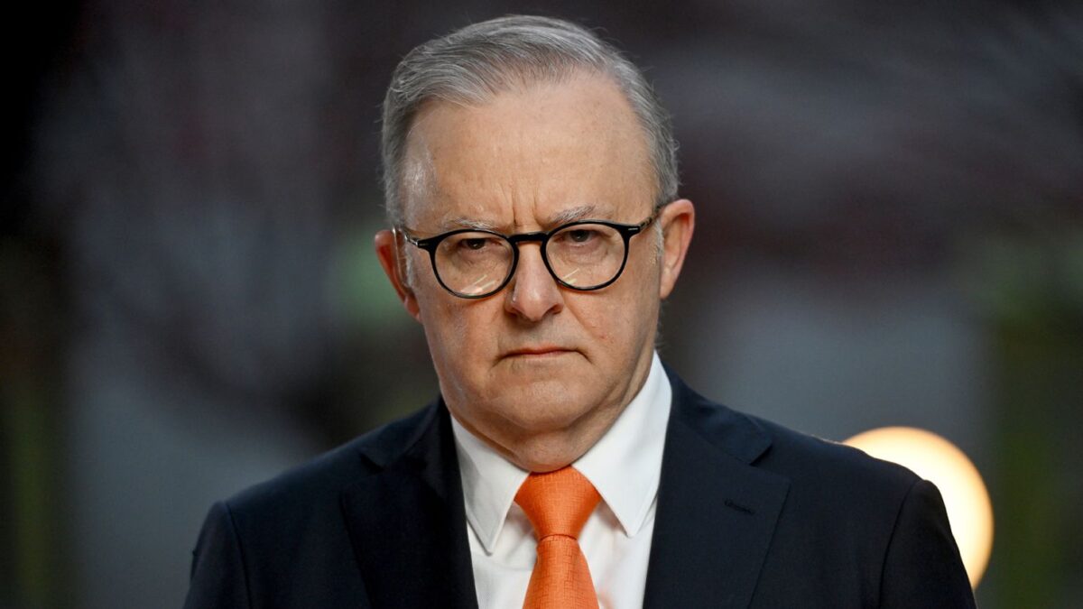 Dive Club Season 2: Netflix Show Renews or Gets Cancelled?